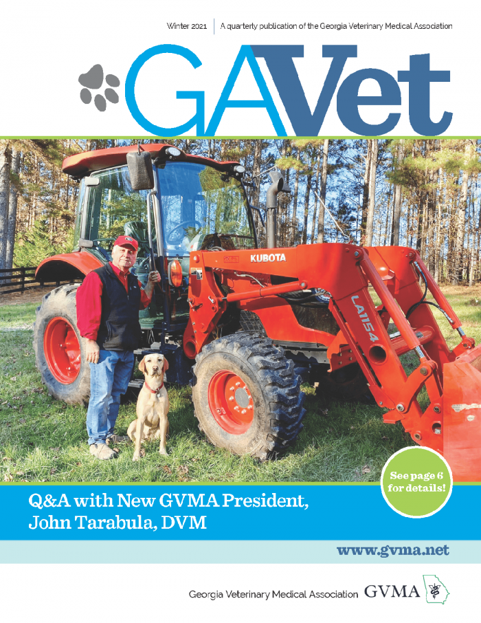 GVMA | The Crisis Facing After-Hours Emergency Care