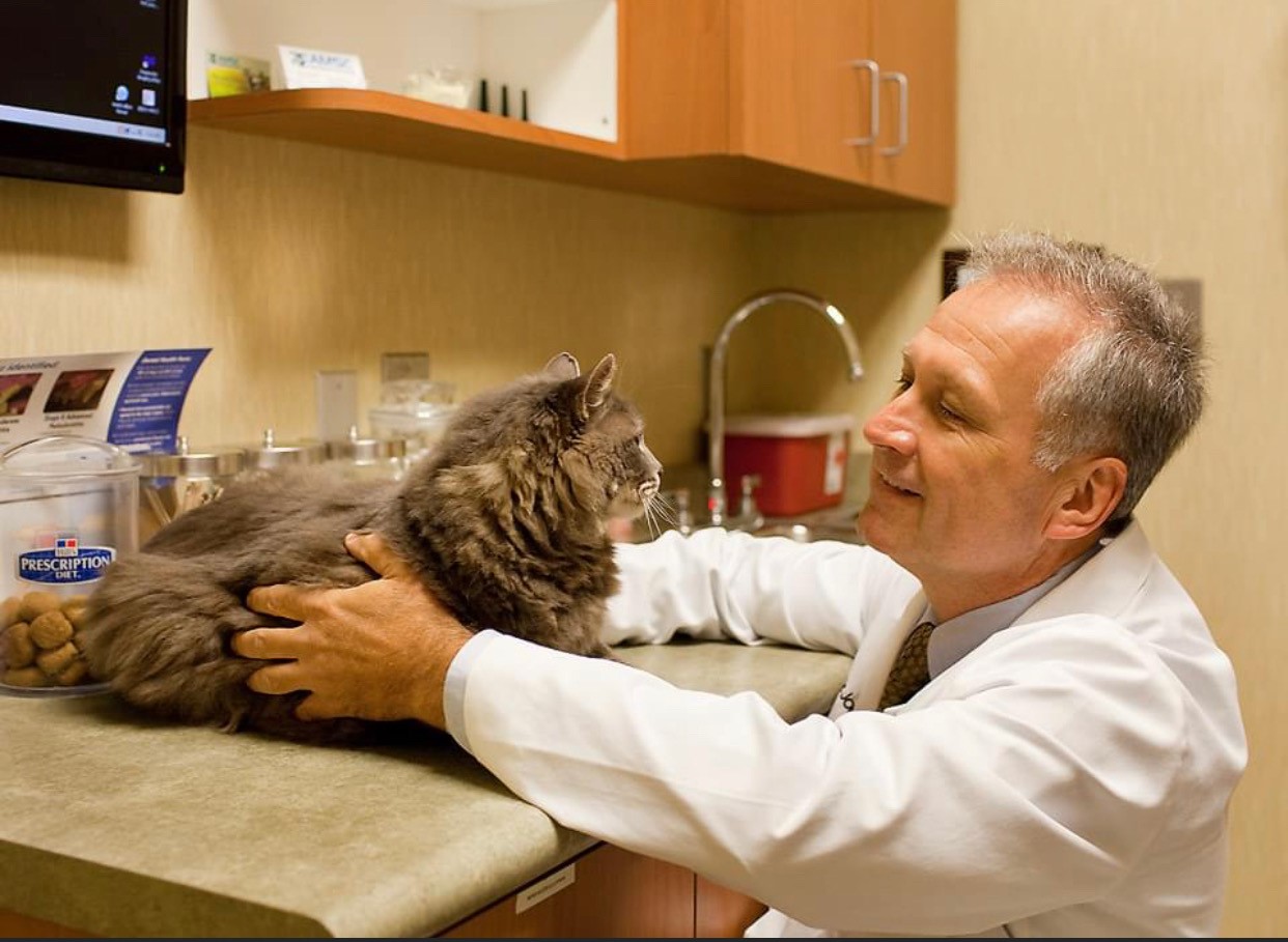 GVMA | Q&A with New GVMA President – Dr. John Tarabula