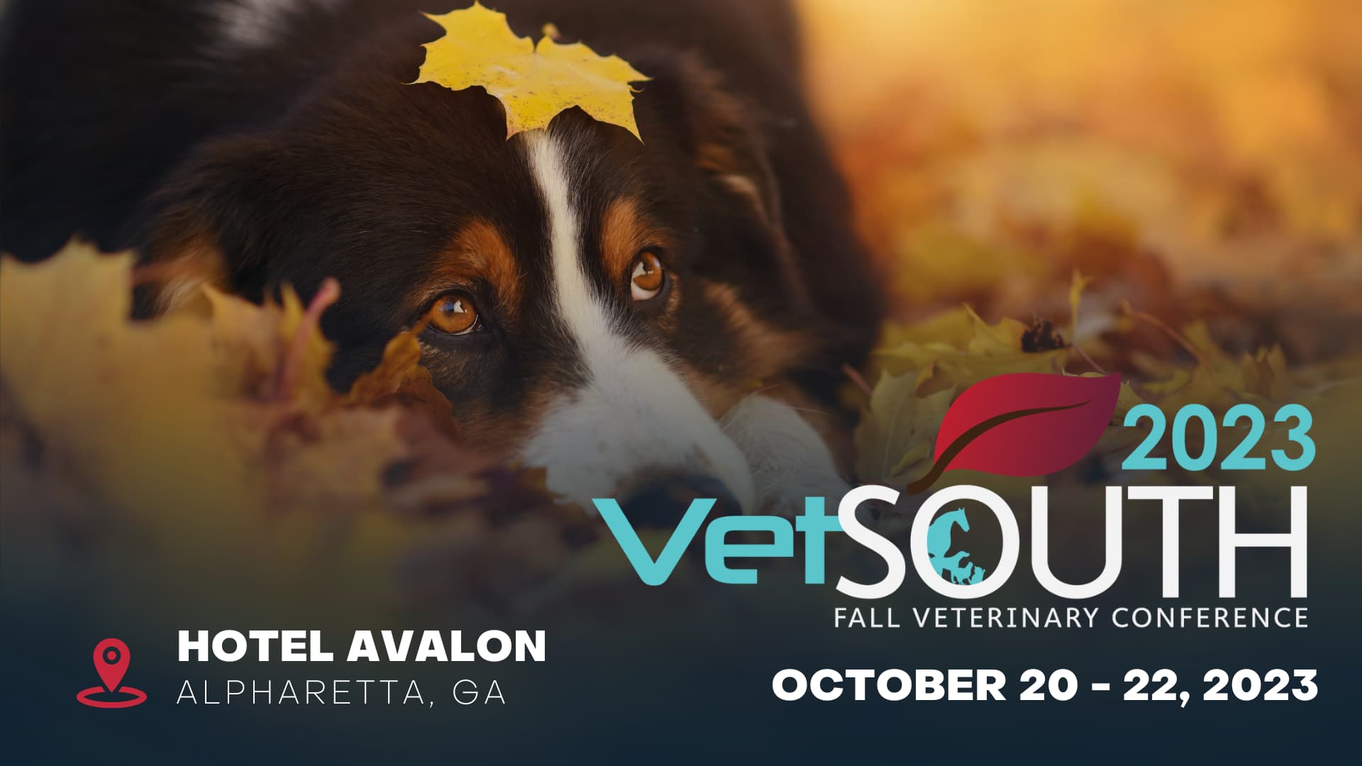 GVMA | VetSouth 2023: Reasons You Want to Register