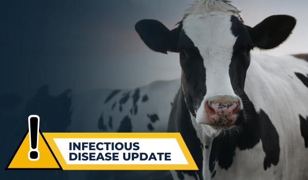GVMA | HPAI Detected in Dairy Cattle